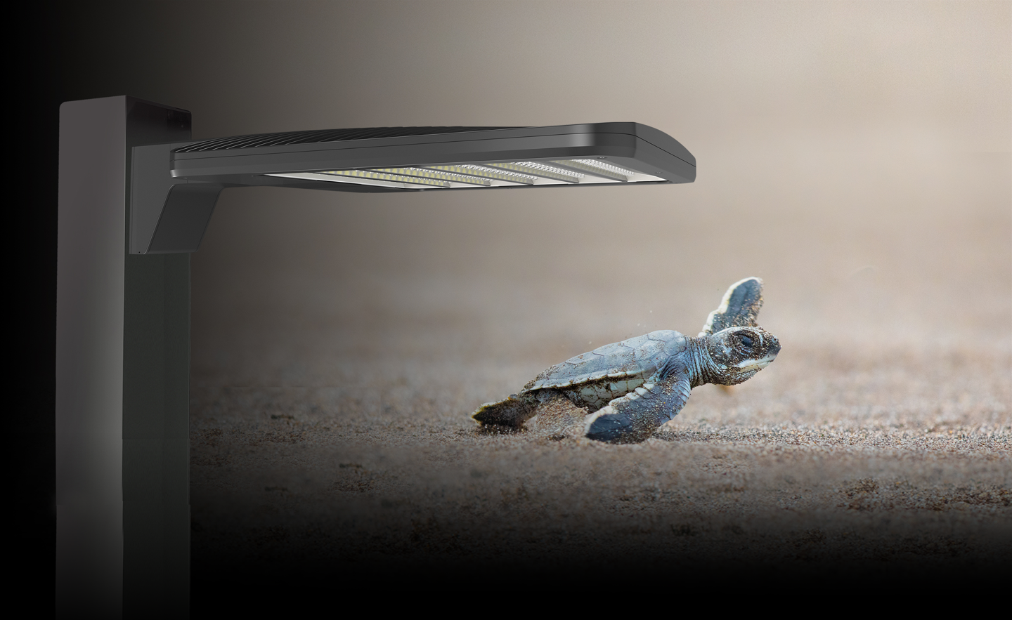 ALED Amber Field Adjustable Area Lights - RAB Lighting