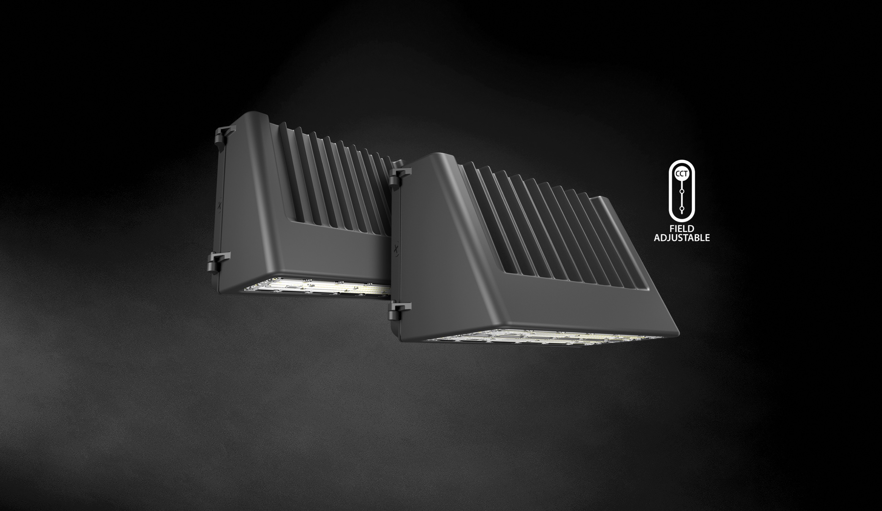 SLIM17 Field Adjustable - Medium/Large - RAB Lighting