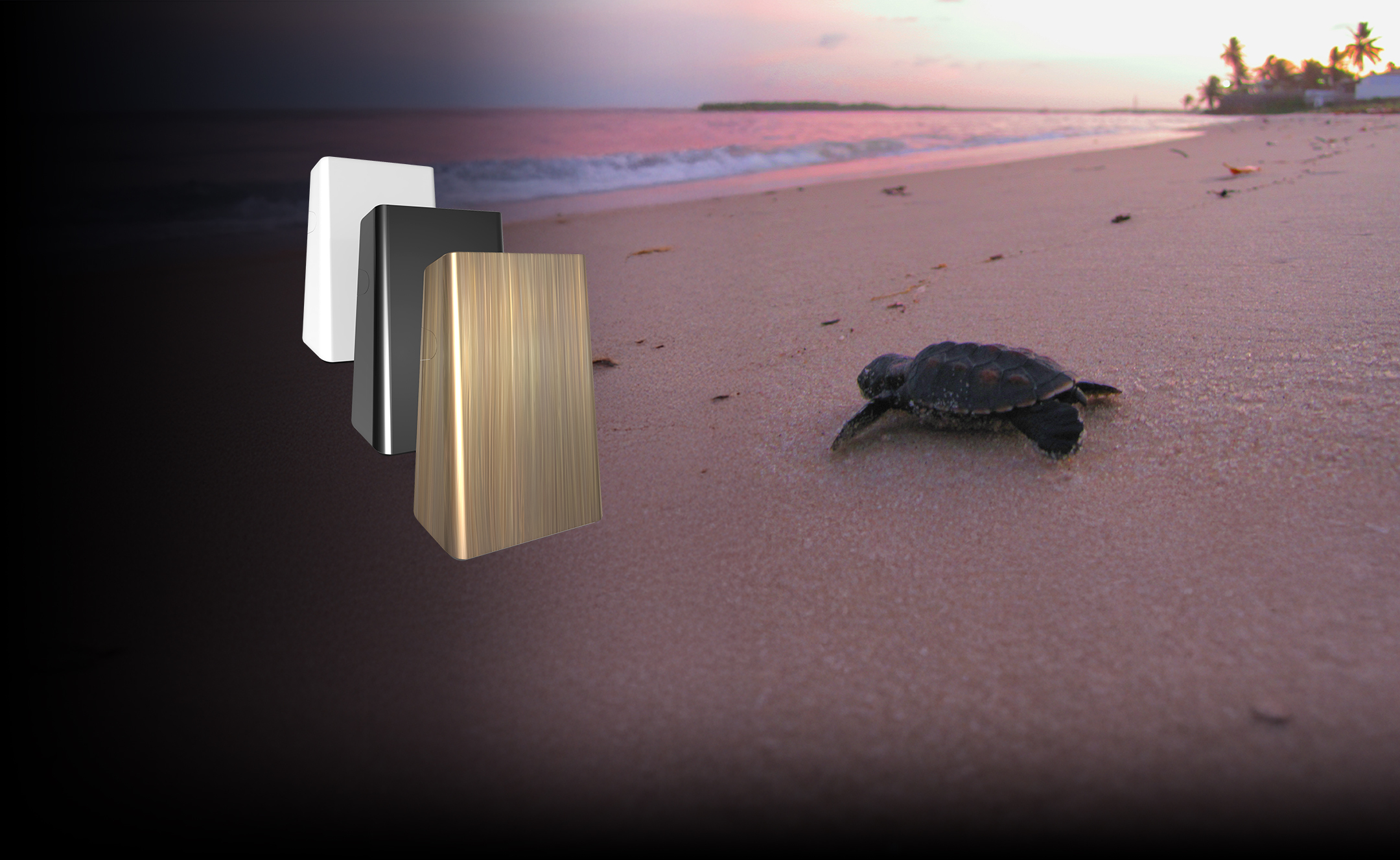 SLIM Amber Field-Adjustable Wall Packs - RAB Lighting