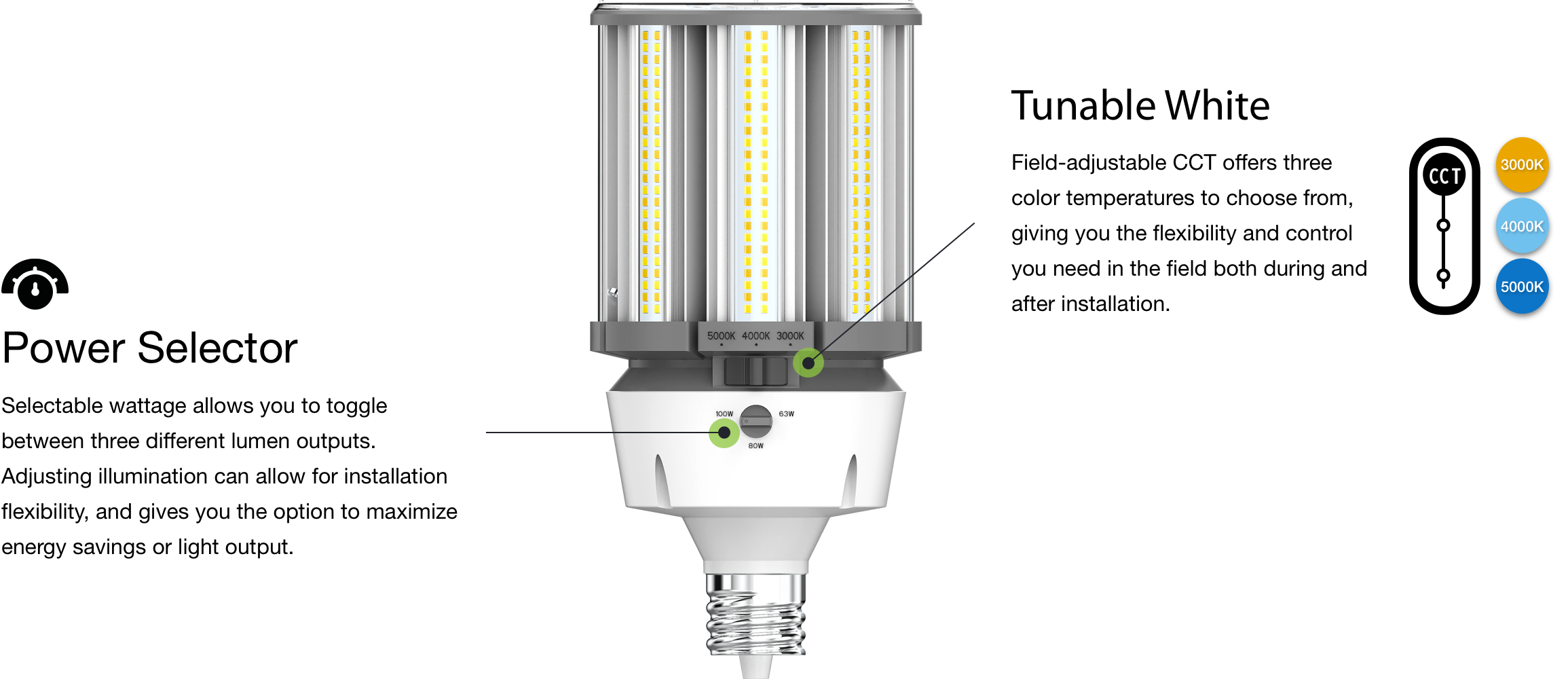 Field-Adjustable LED Post Top - RAB Lighting