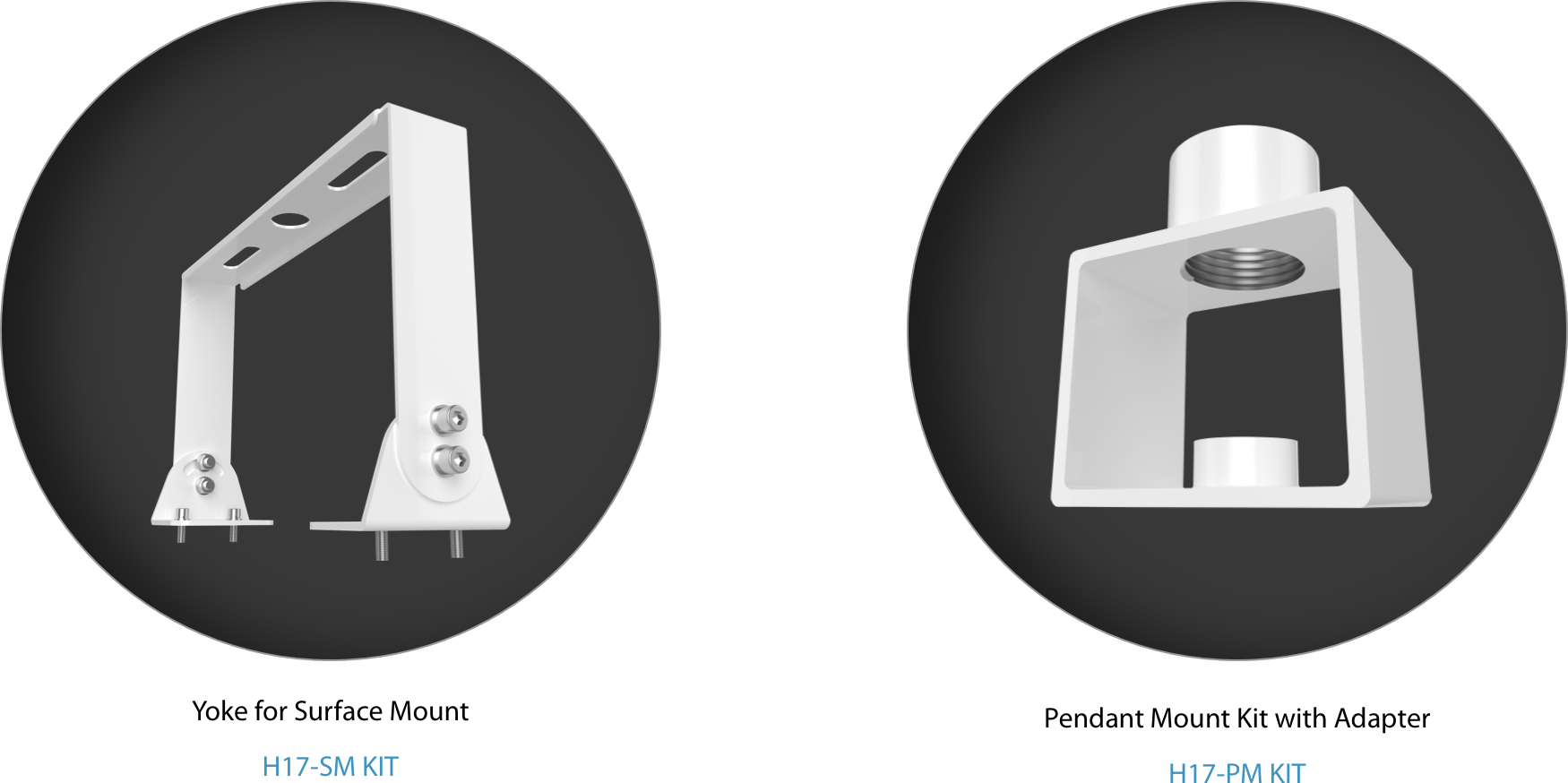 H17 Field Adjustable High Bay - RAB Lighting