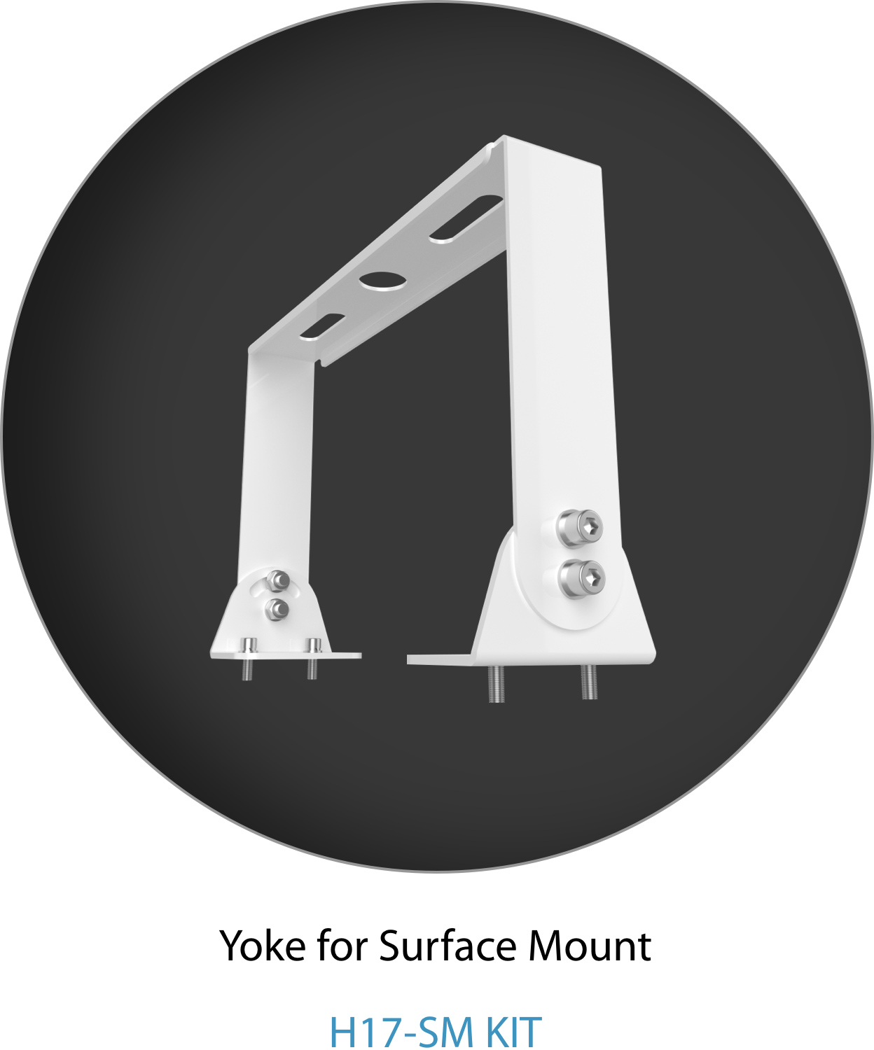 H17 Field Adjustable High Bay - RAB Lighting